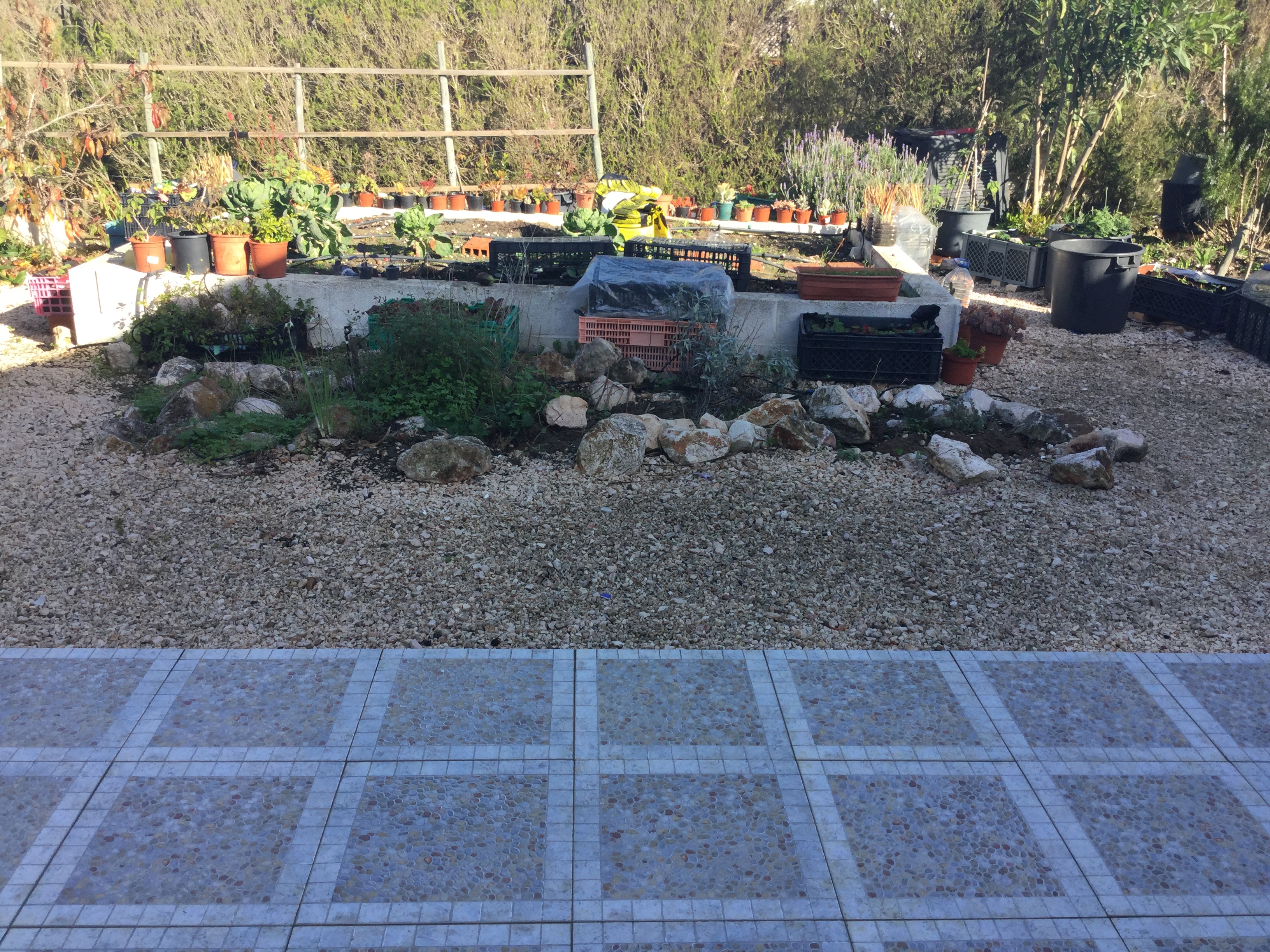 gardening in Portugal – Piglet in Portugal